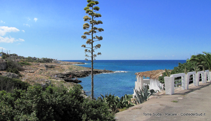 Foto di Torre Suda - Marine di Racale - Foto Spiagge del Salento ...
