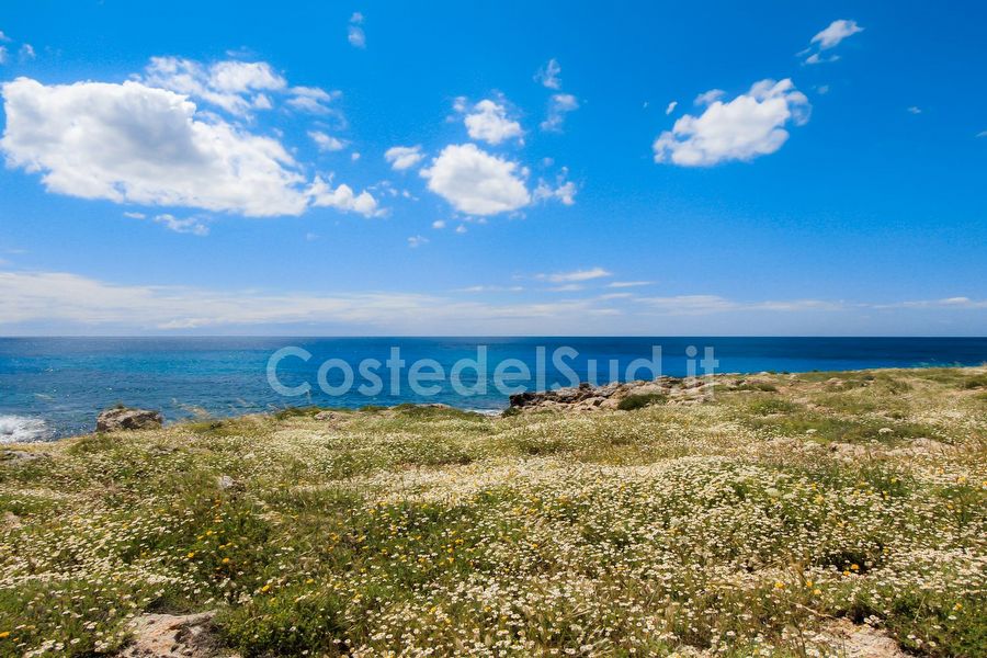 Natura Nel Salento - Foto di Capilungo